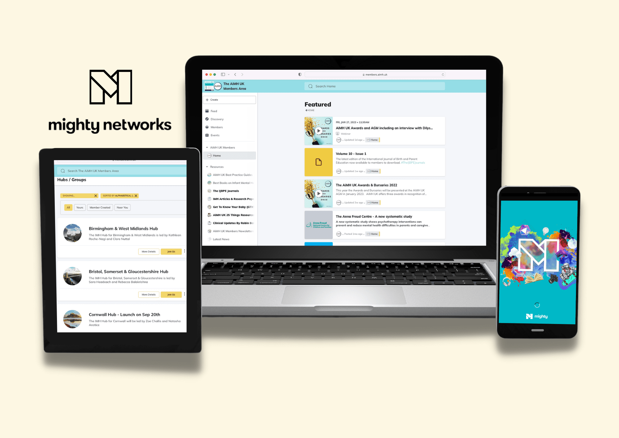 Association For Infant Mental Health | About Members Area