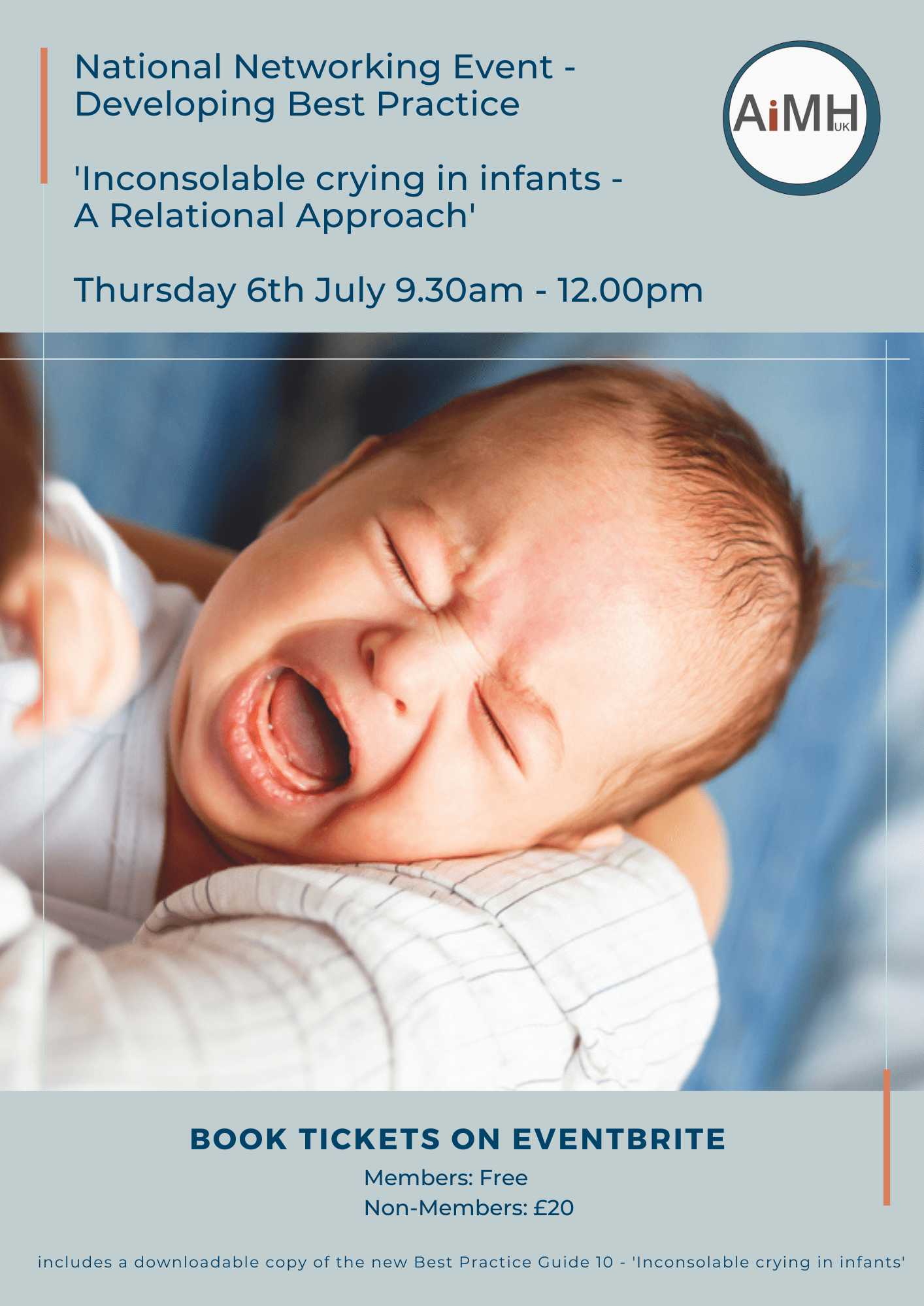 AiMH UK Lunchtime Skills box with Dr Jools Page – AiMH